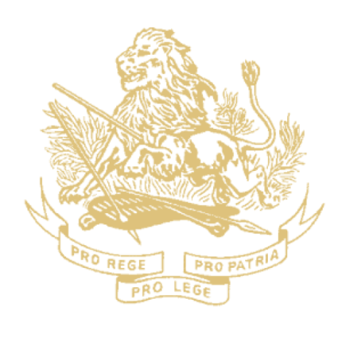 Jameson Raid - British South Africa Police Regiment